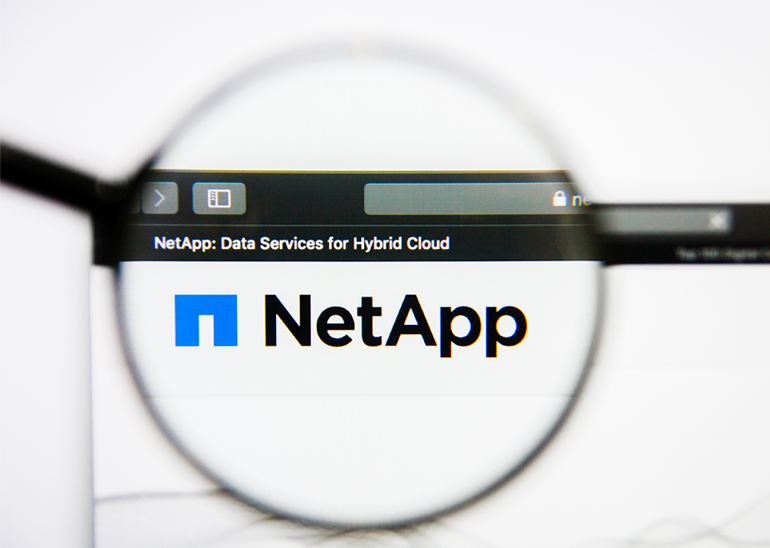 NetApp Vulnerabilities: CERT-In Issues Alert On Five Bugs