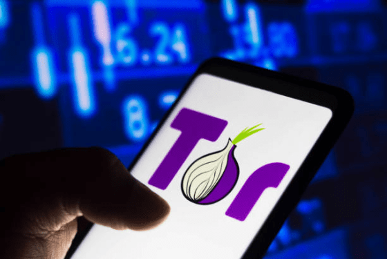 What Is Tor Browser? Anonymity, Safety, And Usage